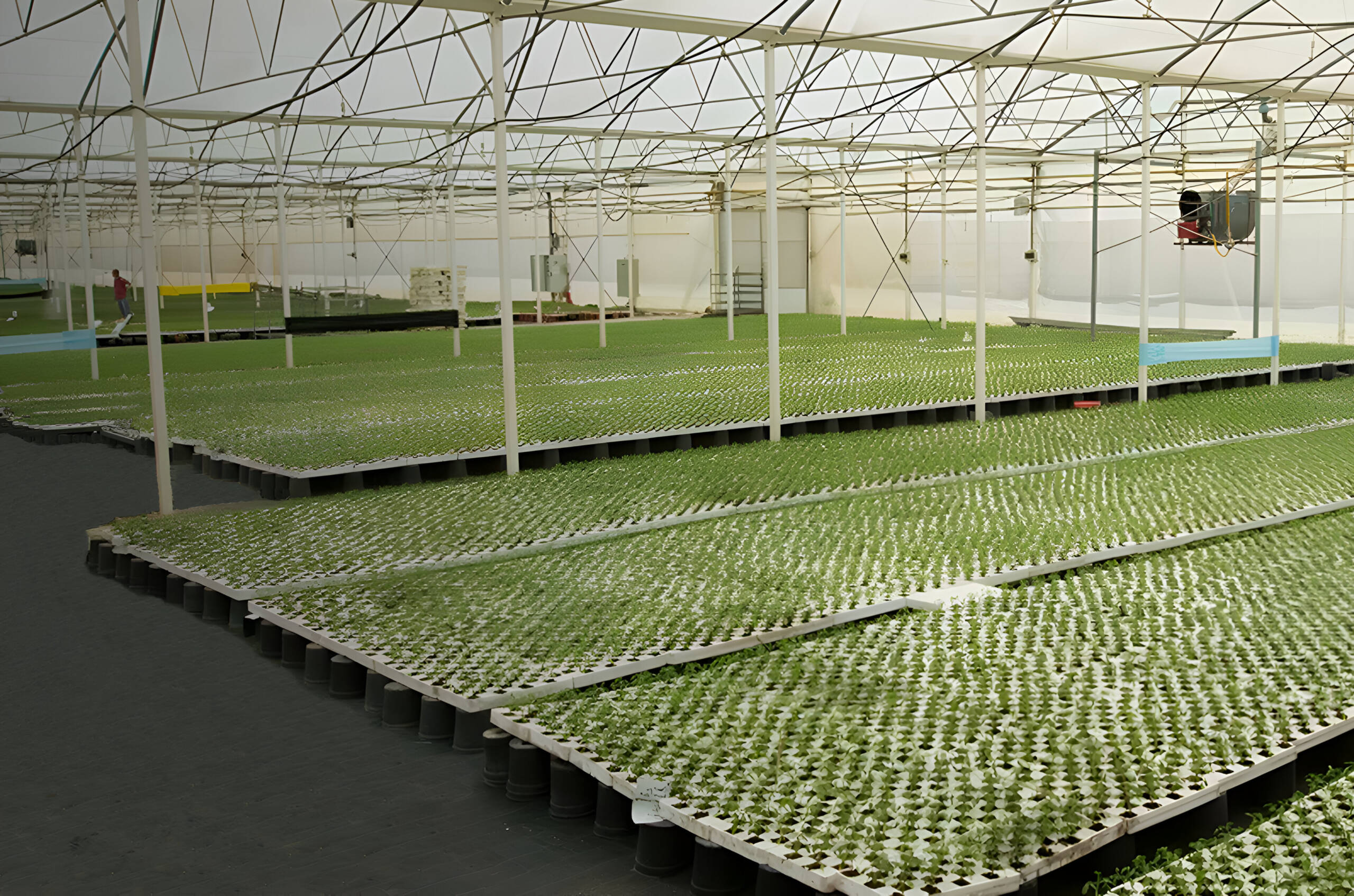 From Zeus to the Zeros: Your Beginner's Guide to NJ Sportsbooks in 2026 ...